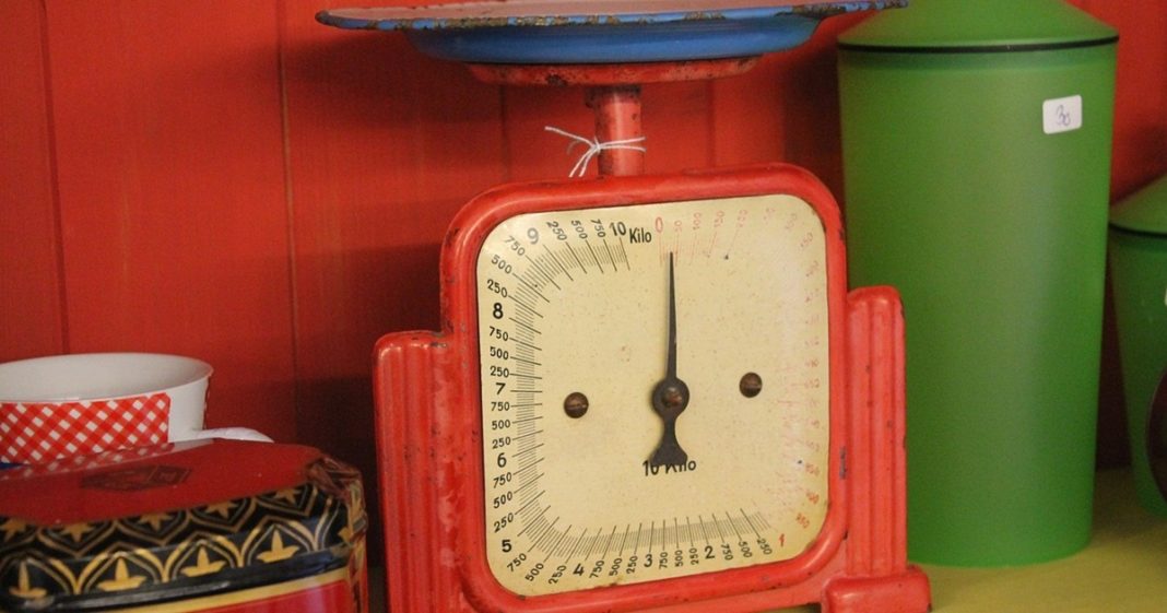 Mari Mengenal Jenis-Jenis Timbangan - Blog ruparupa