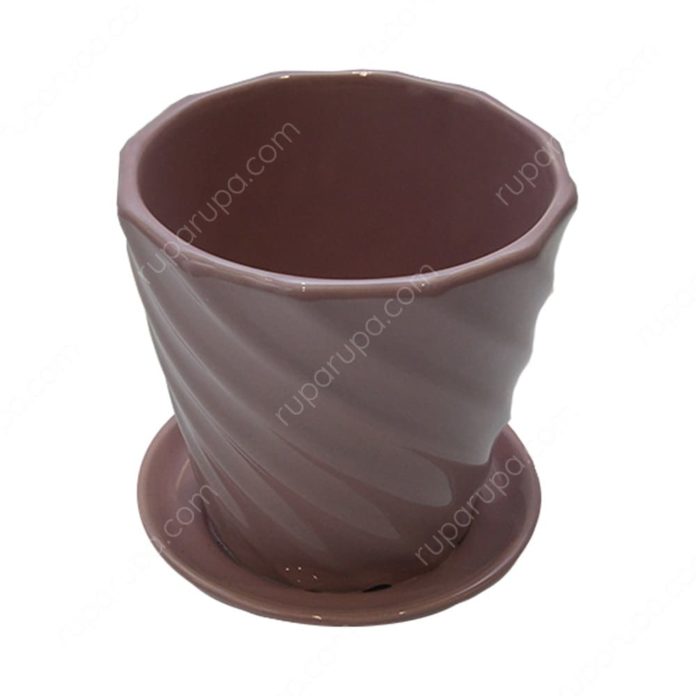 12 Tanaman Rambat Hias yang Cantik Untuk Dekorasi - Blog ruparupa