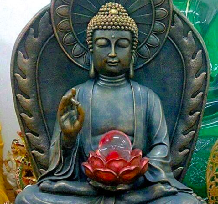 Fakta Unik Bunga Teratai Beserta Sejarah Nya - Blog ruparupa