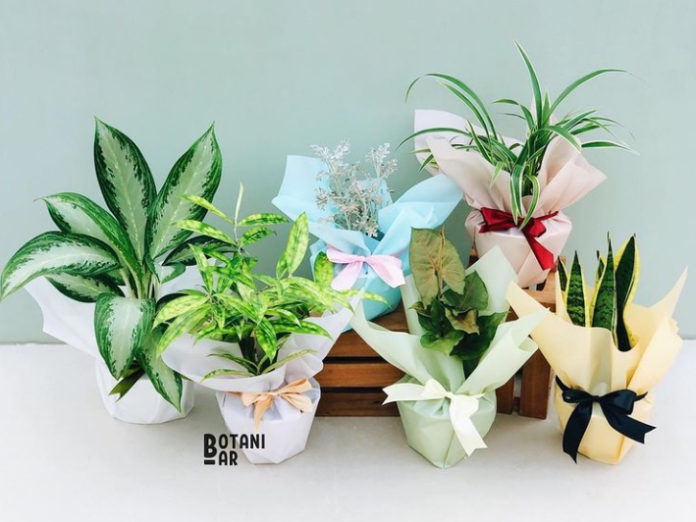 15 Contoh Parcel Lebaran Unik dan Anti Mainstream - Blog ruparupa