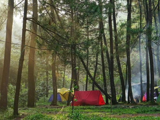 15 Tempat Camping di Bogor yang Seru Abis! - Blog ruparupa