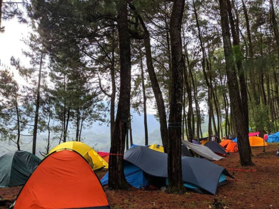 15 Tempat Camping di Bogor yang Seru Abis! - Blog ruparupa