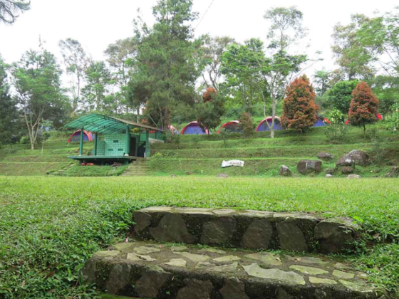 15 Tempat Camping di Bogor yang Seru Abis! - Blog ruparupa