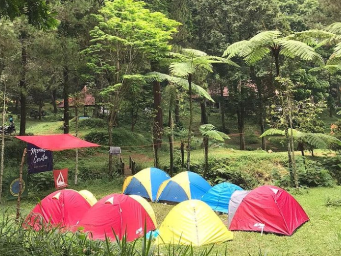 15 Tempat Camping di Bogor yang Seru Abis! | Blog Ruparupa