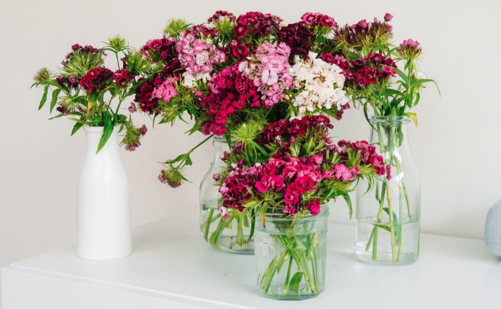 20 Ide Penataan Bunga di Ruang Tamu - Blog ruparupa