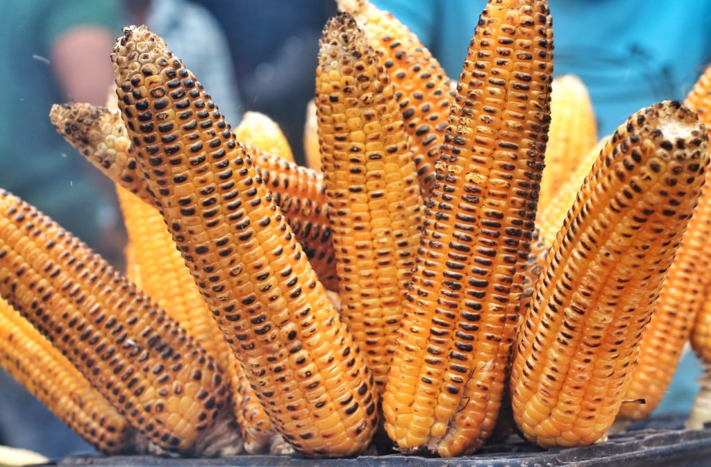 10 Menu Bakar Bakar Tahun Baru yang Nikmat - Blog ruparupa