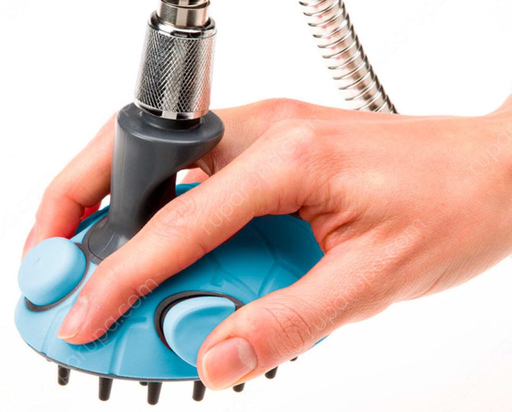 8 Fakta Menarik Tentang Shih Tzu, Si Anjing Cantik - Blog ruparupa