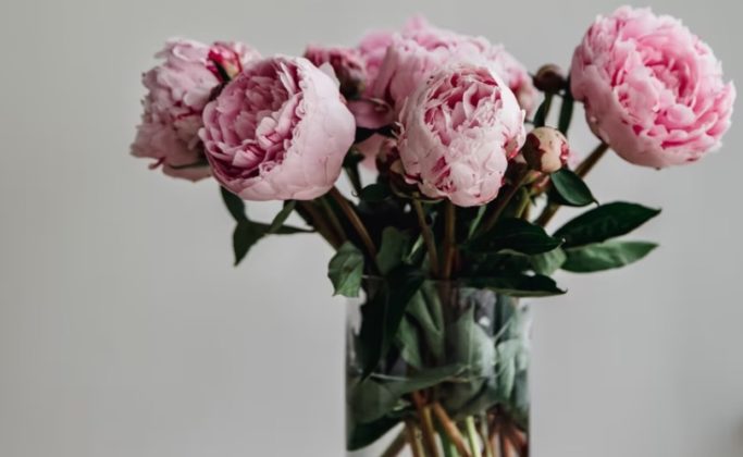 9 Ide Dekorasi Lamaran di Rumah yang Mudah Anda Coba