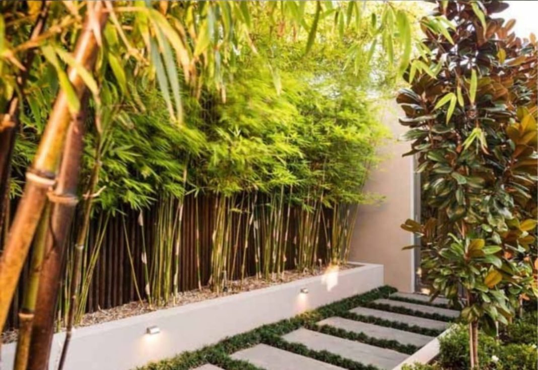 10 Inspirasi Menata Taman Depan Rumah Sederhana - Blog ruparupa