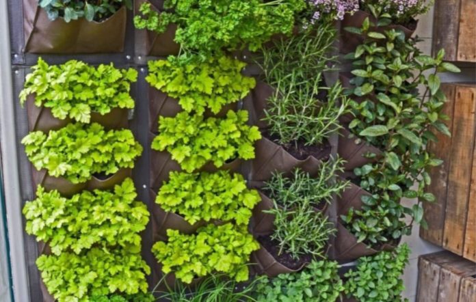 10 Inspirasi Menata Taman Depan Rumah Sederhana - Blog ruparupa