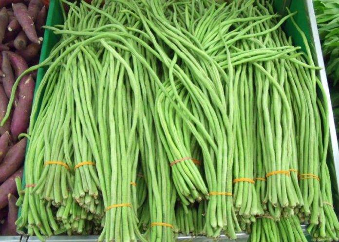 10 Tanaman Palawija yang Mudah Ditanam di Rumah - Blog ruparupa