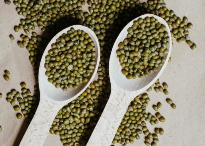 10 Tanaman Palawija yang Mudah Ditanam di Rumah - Blog ruparupa