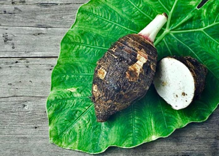 10 Tanaman Palawija yang Mudah Ditanam di Rumah - Blog ruparupa