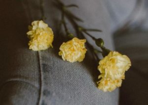 6 Makna Warna Bunga Anyelir dan Manfaatnya - Blog ruparupa