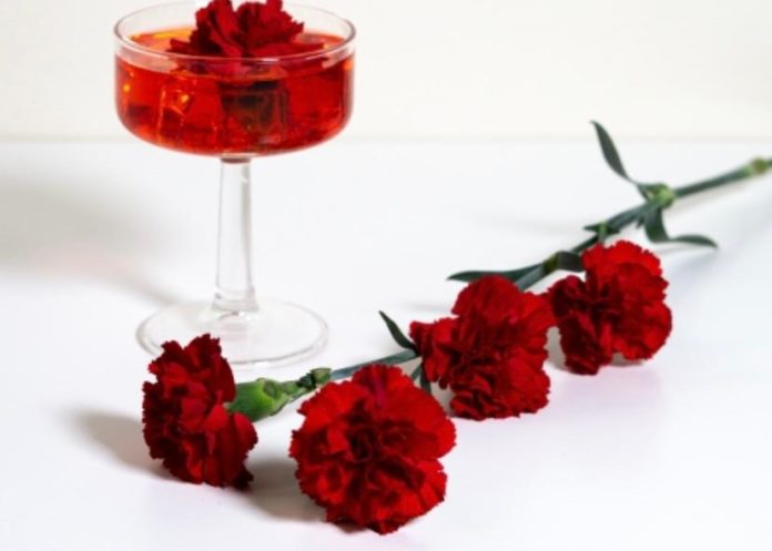 6 Makna Warna Bunga Anyelir dan Manfaatnya - Blog ruparupa