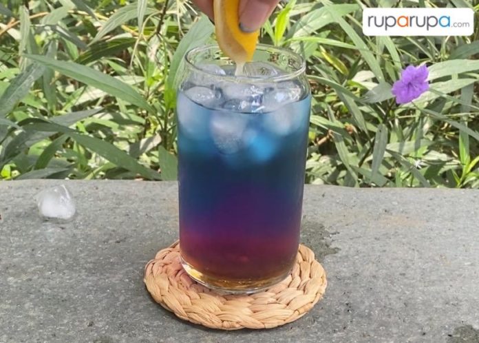Resep Es Bunga Telang Lemon Madu, Segar dan Sehat! - Blog ruparupa