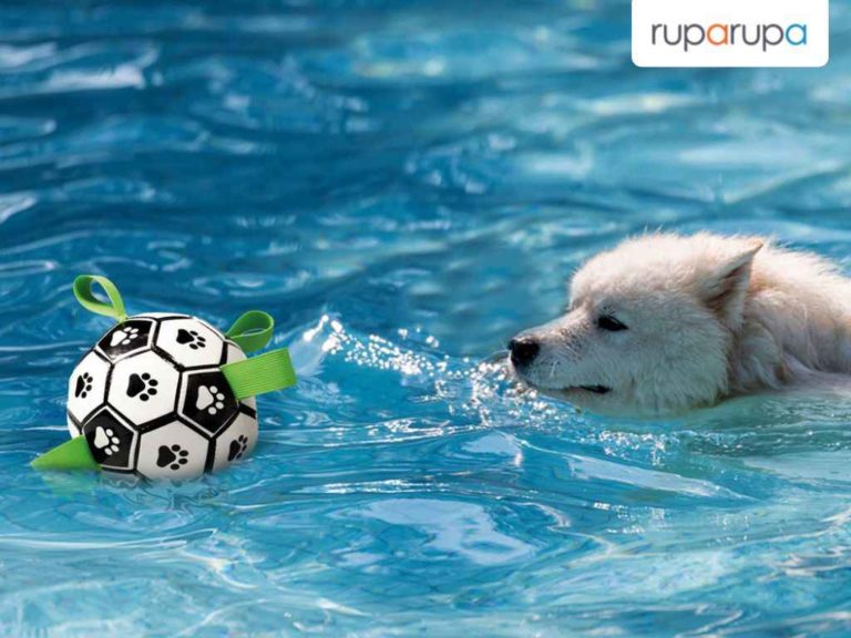 8 Rekomendasi Mainan Kucing dan Anjing yang Aman - Blog ruparupa