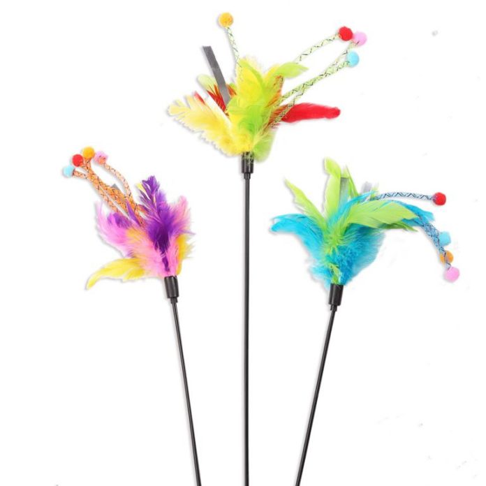 8 Rekomendasi Mainan Kucing dan Anjing yang Aman - Blog ruparupa