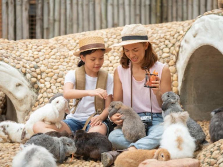 6 Cara Mengenalkan Nama Hewan Pada Anak - Blog ruparupa