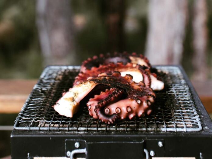 7 Ide Menu BBQ yang Praktis untuk Pesta Barbeque - Blog ruparupa